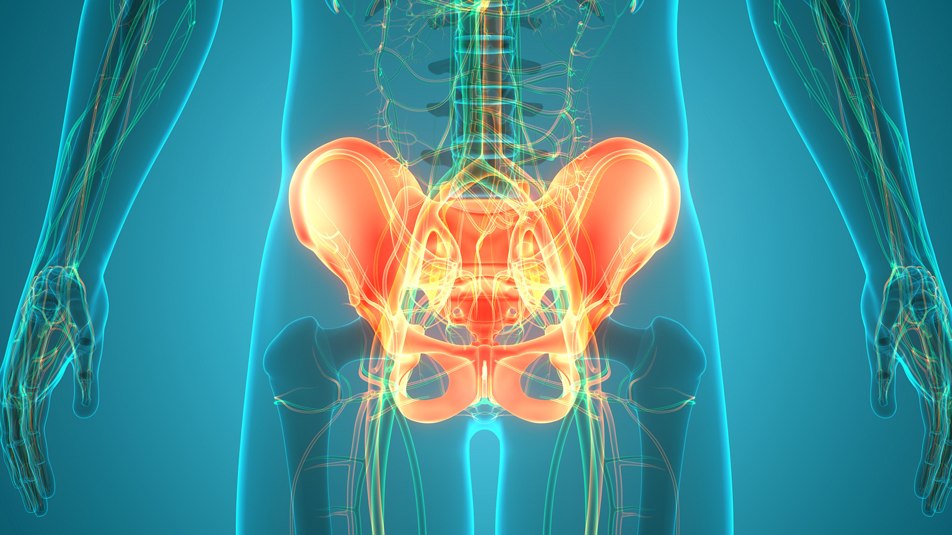 NE Hip Clinic – Specialist Hip Clinic In Newcastle-Upon-Tyne